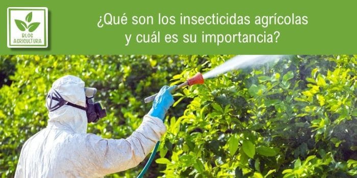 ¿Qué son los insecticidas agrícolas y cuál es su importancia?